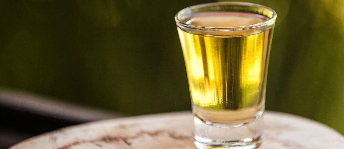 Shot de pinga pra curar gripe - Papo de Bar