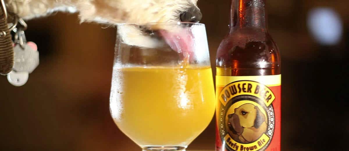 Bowser Beer, a primeira cerveja para cães » Papo de Bar